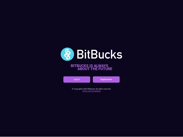 Bitbucks.tech - Deposits and Payouts (Last 100) | Instant-Monitor.com