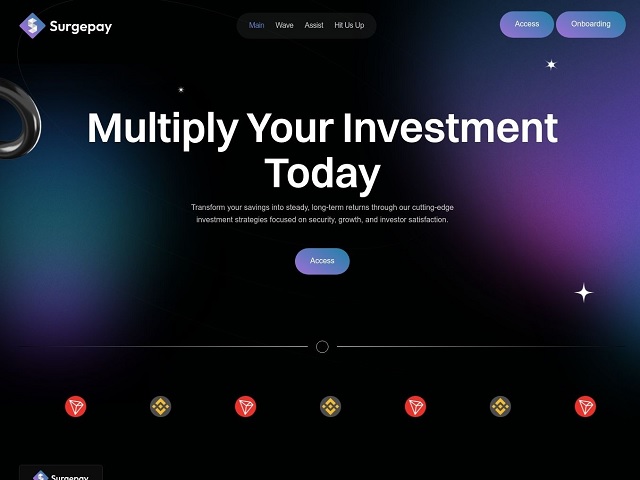 Surgepay.biz - Deposits and Payouts (Last 100) | Instant-Monitor.com